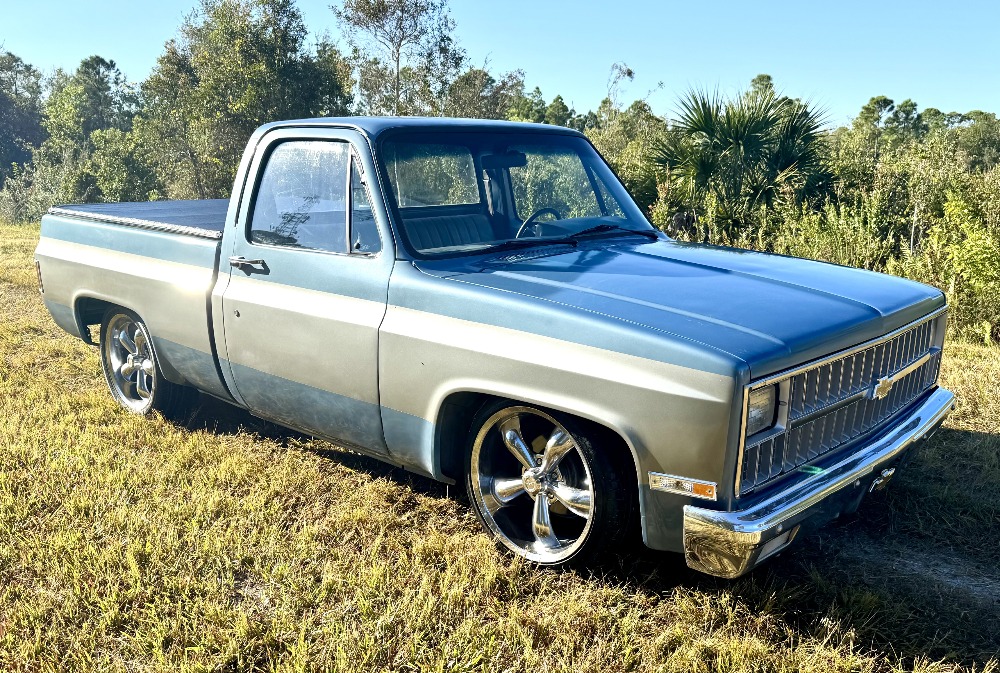 Lot D25-568 - 1982 Chevrolet C10 Custom Deluxe Pickup | Premier Auction ...