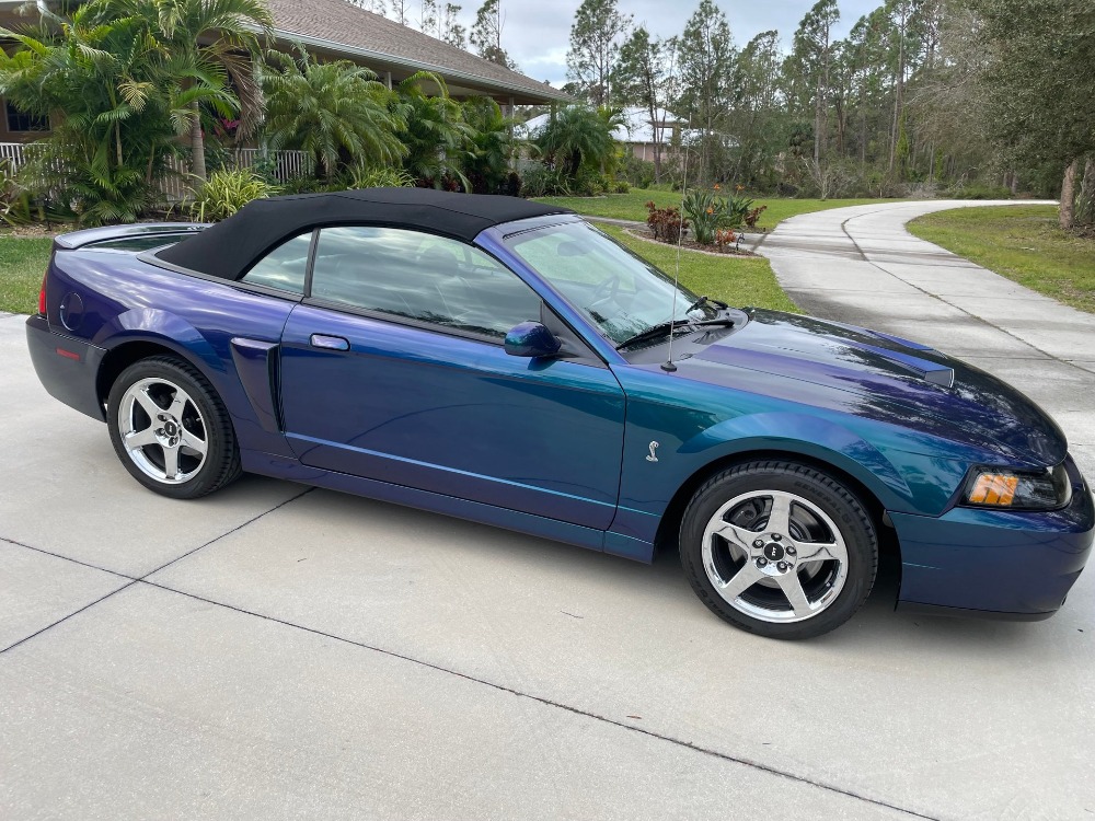 Lot D23-530 - 2004 Ford Mustang Cobra SVT Convertible | Premier Auction ...