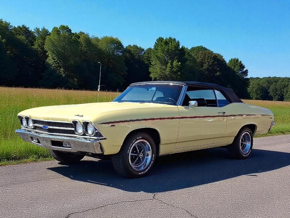 Lot D25-224 - 1969 Chevrolet Chevelle Convertible | Premier Auction Group