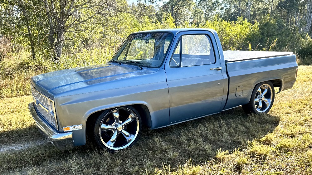 Lot D25-568 - 1982 Chevrolet C10 Custom Deluxe Pickup | Premier Auction ...