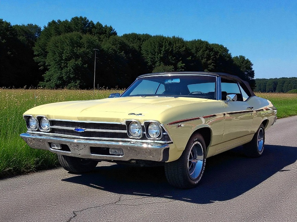 Lot D25-224 - 1969 Chevrolet Chevelle Convertible | Premier Auction Group