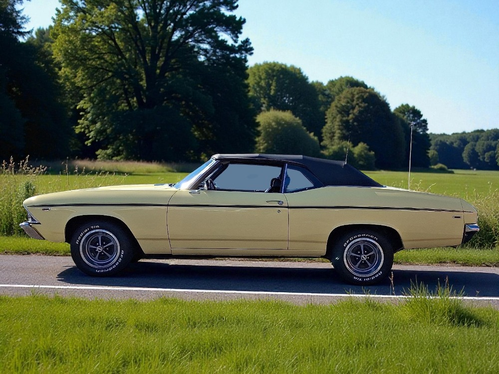 Lot D25-224 - 1969 Chevrolet Chevelle Convertible | Premier Auction Group