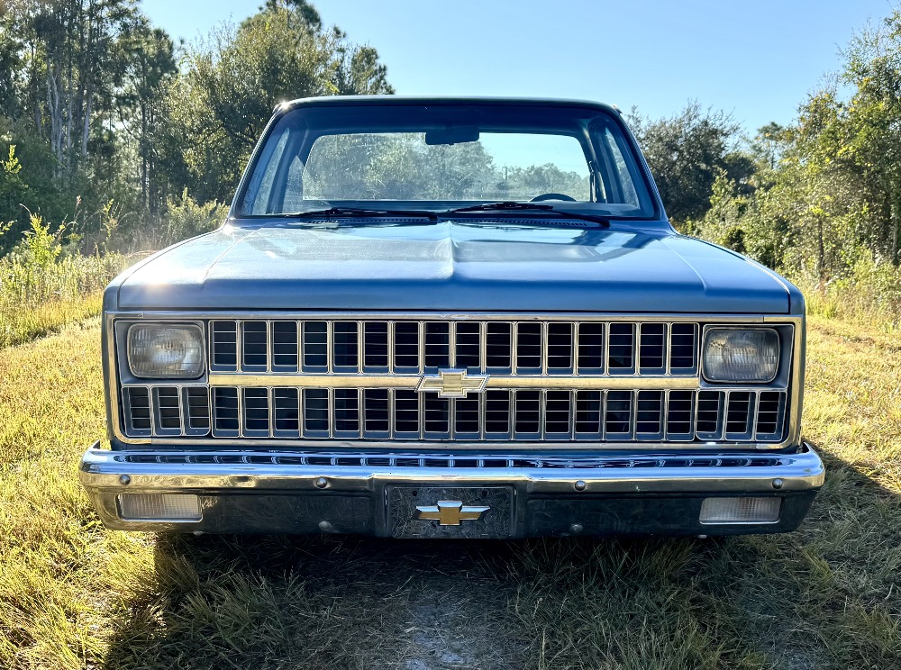 Lot D25-568 - 1982 Chevrolet C10 Custom Deluxe Pickup | Premier Auction ...