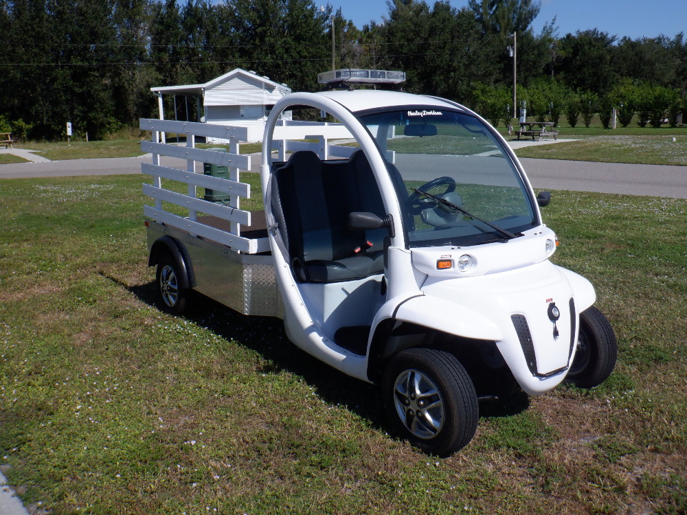 Lot D25-091 - 2009 GEM eL Electric Utility Vehicle | Premier Auction Group