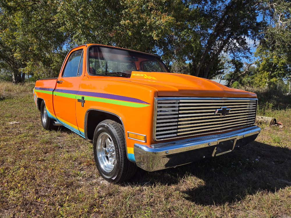 Lot D25-194 - 1981 Chevrolet C10 Custom Pickup | Premier Auction Group