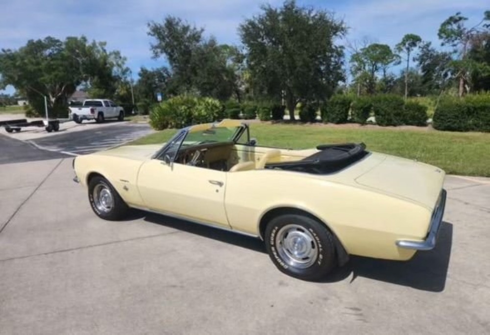 Lot D24-442 - 1967 Chevrolet Camaro Convertible | Premier Auction Group