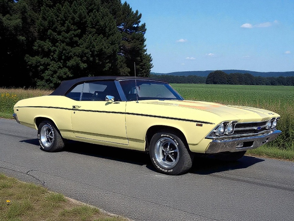 Lot D25-224 - 1969 Chevrolet Chevelle Convertible | Premier Auction Group