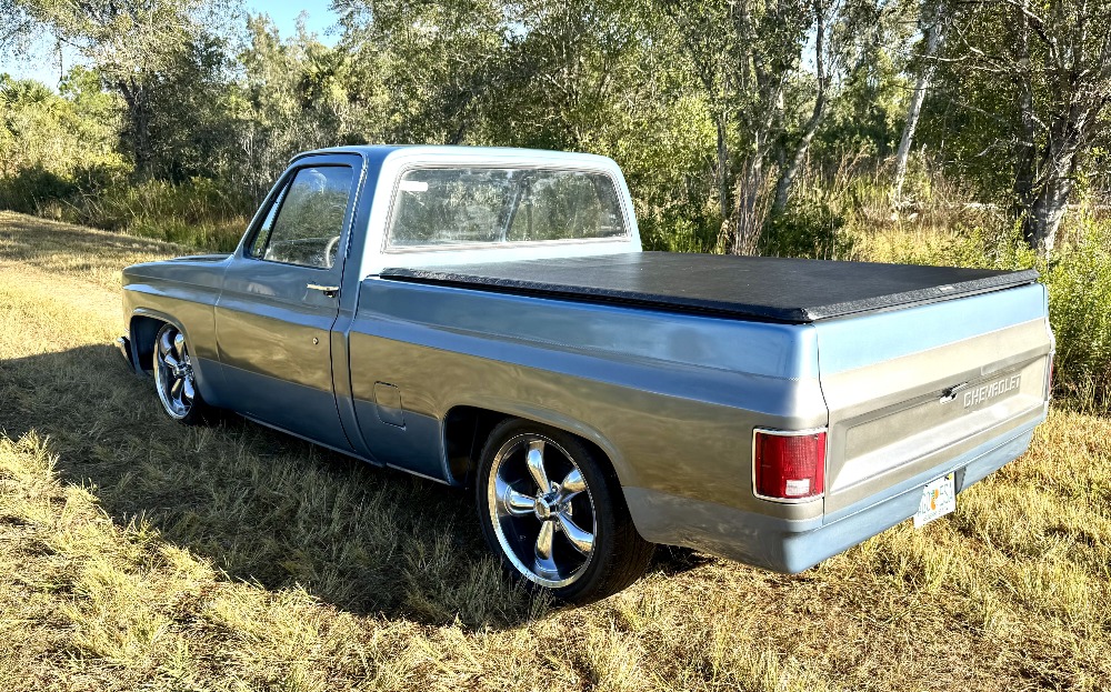 Lot D25-568 - 1982 Chevrolet C10 Custom Deluxe Pickup | Premier Auction ...