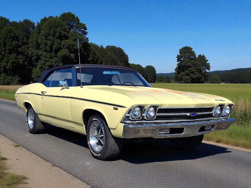 Lot D25-224 - 1969 Chevrolet Chevelle Convertible | Premier Auction Group
